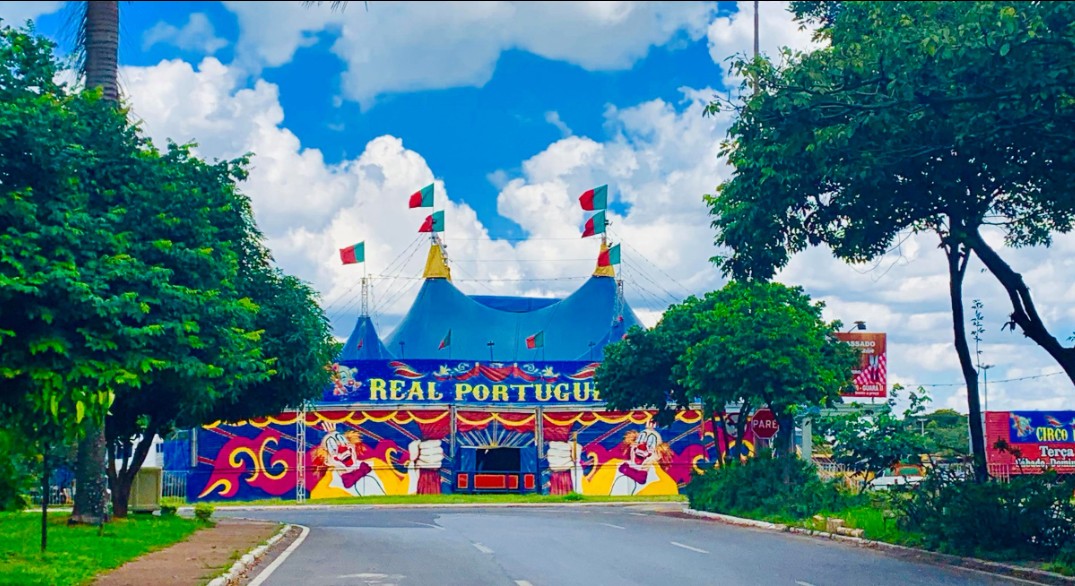 Circo Real Português chega a Sobradinho com King Kong de 11 metros de ...