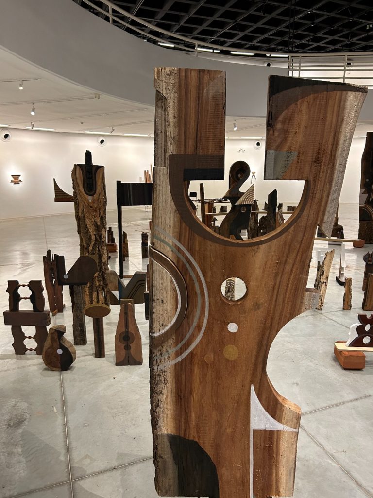 Goiânia recebe exposição inédita com mais de 100 obras do renomado ...