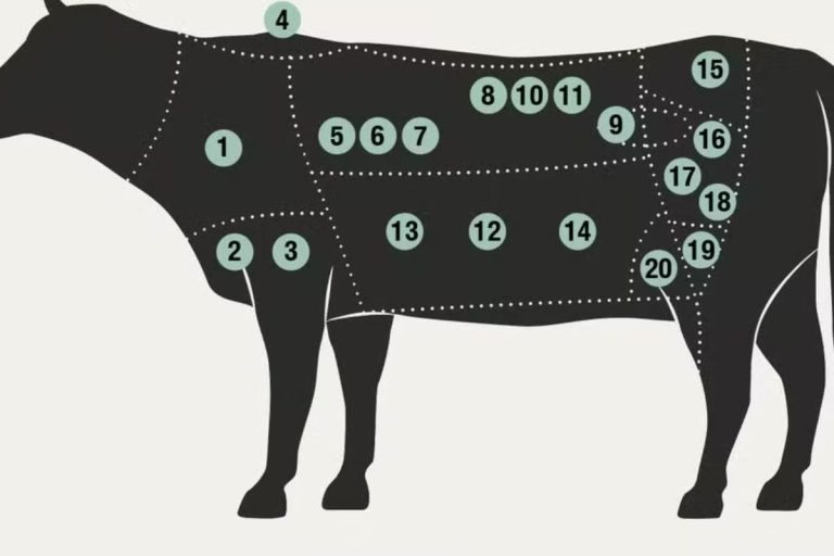 Conheça as 20 partes do boi que vêm os cortes das carnes - Curta Mais ...