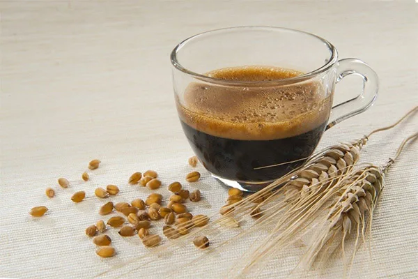 Conheça o café de cevada e como ele é ótimo aliado à sua saúde e ...