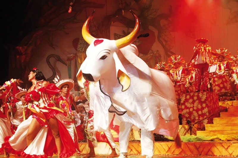 Boi-bumbá Garantido vence Festival de Parintins 2016 - Curta Mais