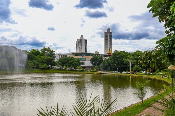 Parques de Goiânia recebem plantio de árvores do cerrado; mudas serão ...